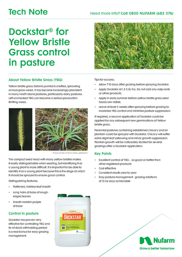 Yellow Bristle Grass TN (Dockstar) - Nufarm Grassmanship