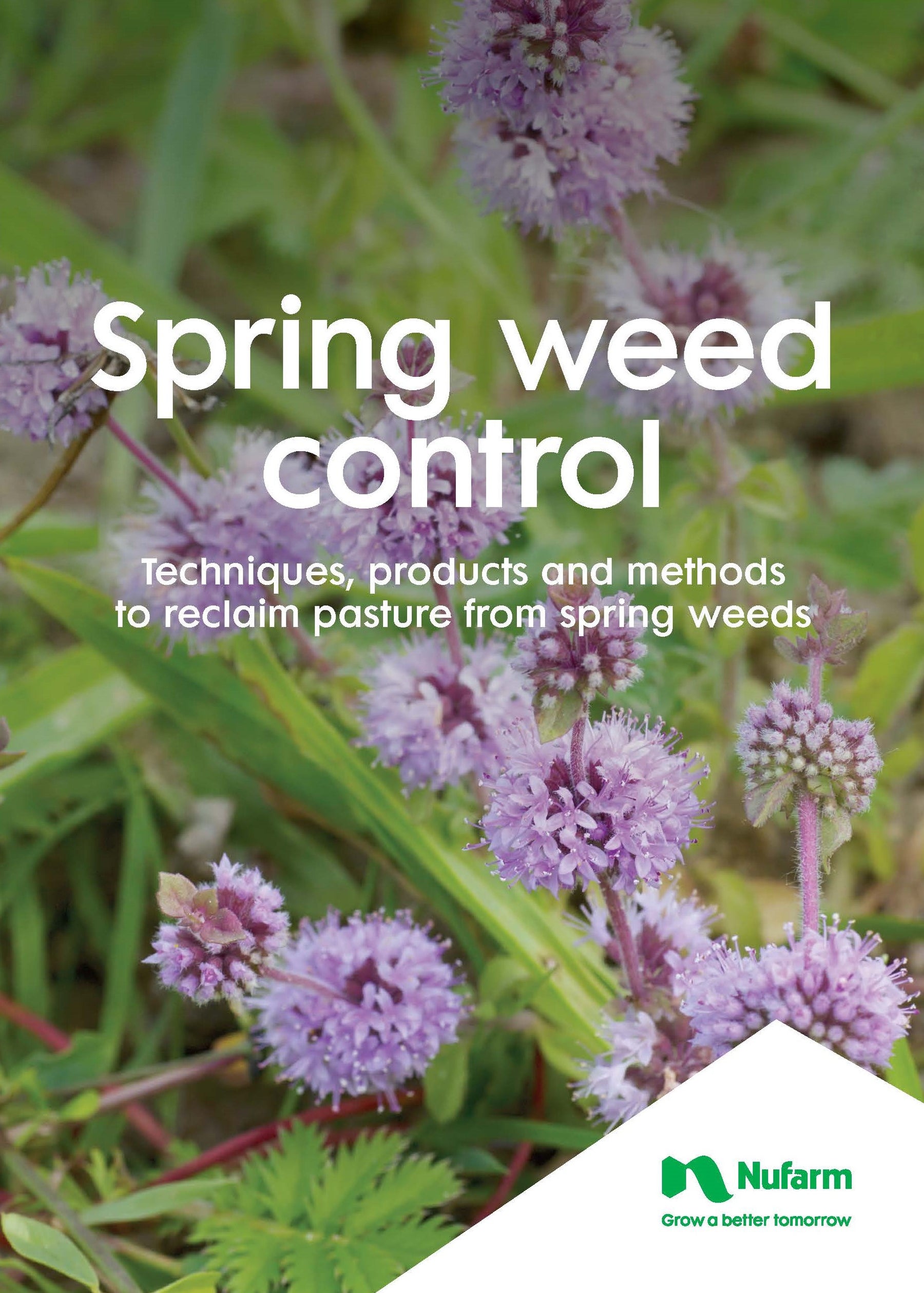 Spring Weeds - Nufarm Grassmanship
